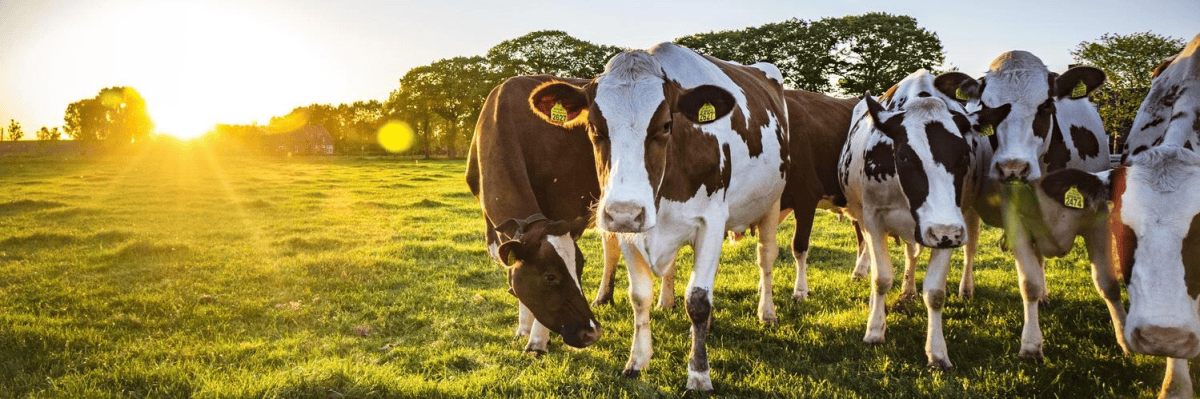 Gebietsverkaufsleiter Ostschweiz 80-100% (a) poste chez Personal Sigma ...