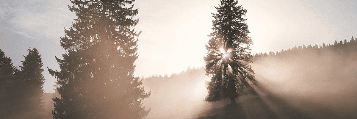 Stagiaire Retail Development poste chez Audemars Piguet - Le Brassus