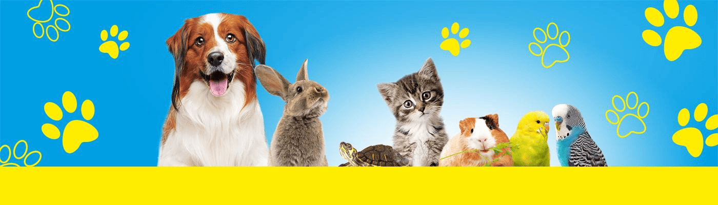 QUALIPET AG - 22 Stellenangebote auf jobs.ch