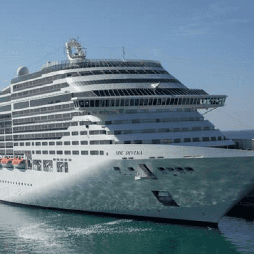 Revenue Management Analyst - Stellenangebot bei MSC Cruises SA - jobs.ch